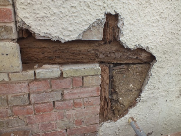 Timber Frame Rot | The Salutation - Restoration