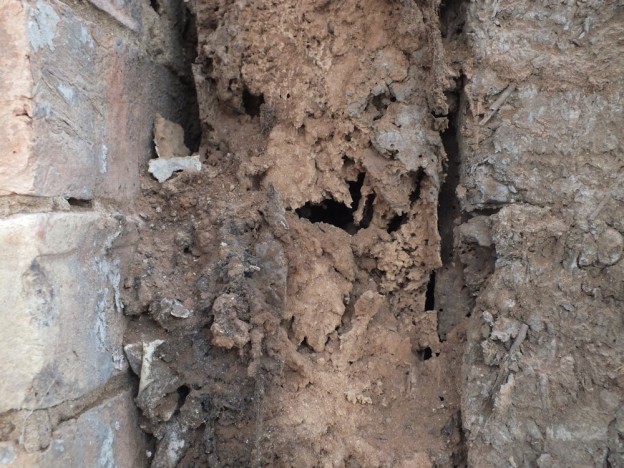 Timber Frame Rot | The Salutation - Restoration