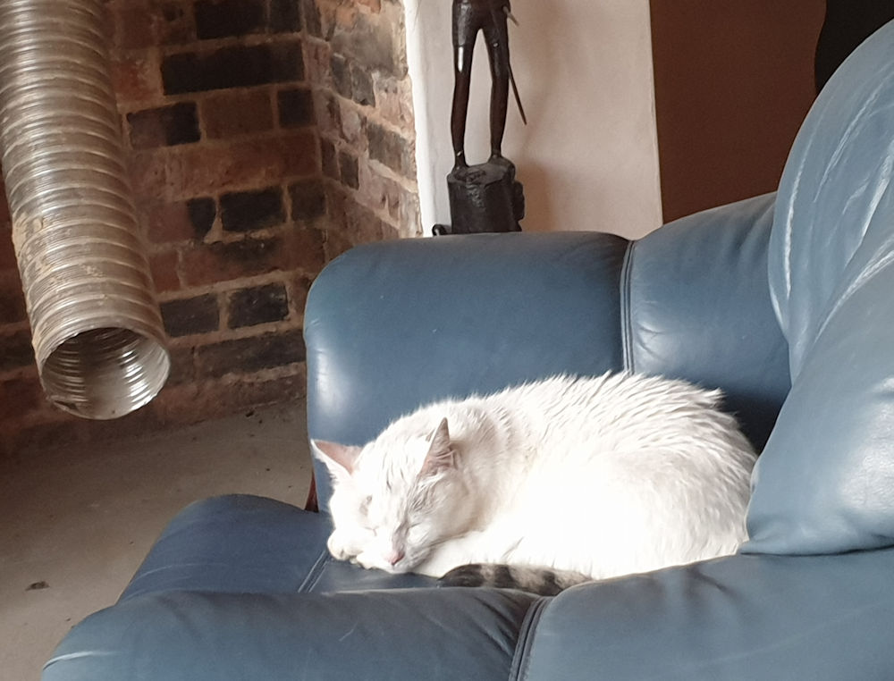 The Salutation - Restoration | The Salutation, Blunham – Converting a ...